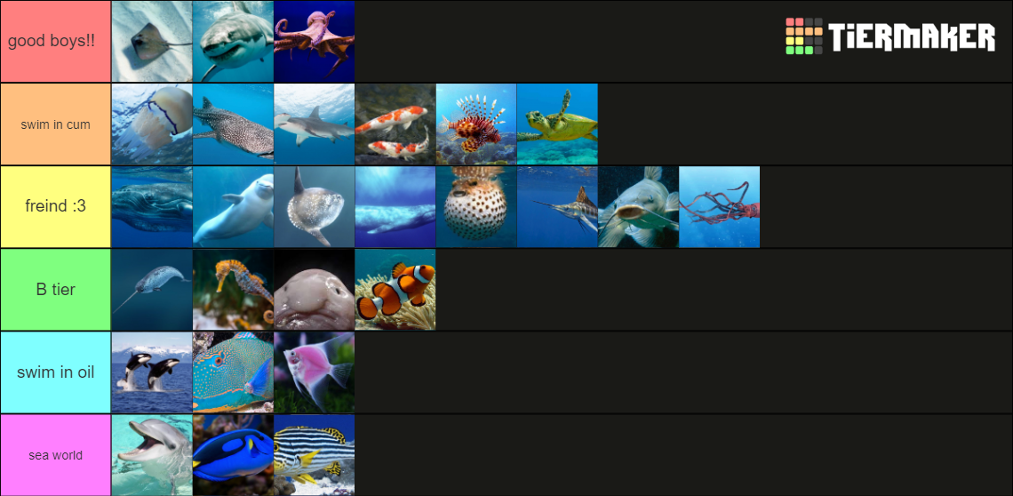 Marine animals Tier List (Community Rankings) - TierMaker