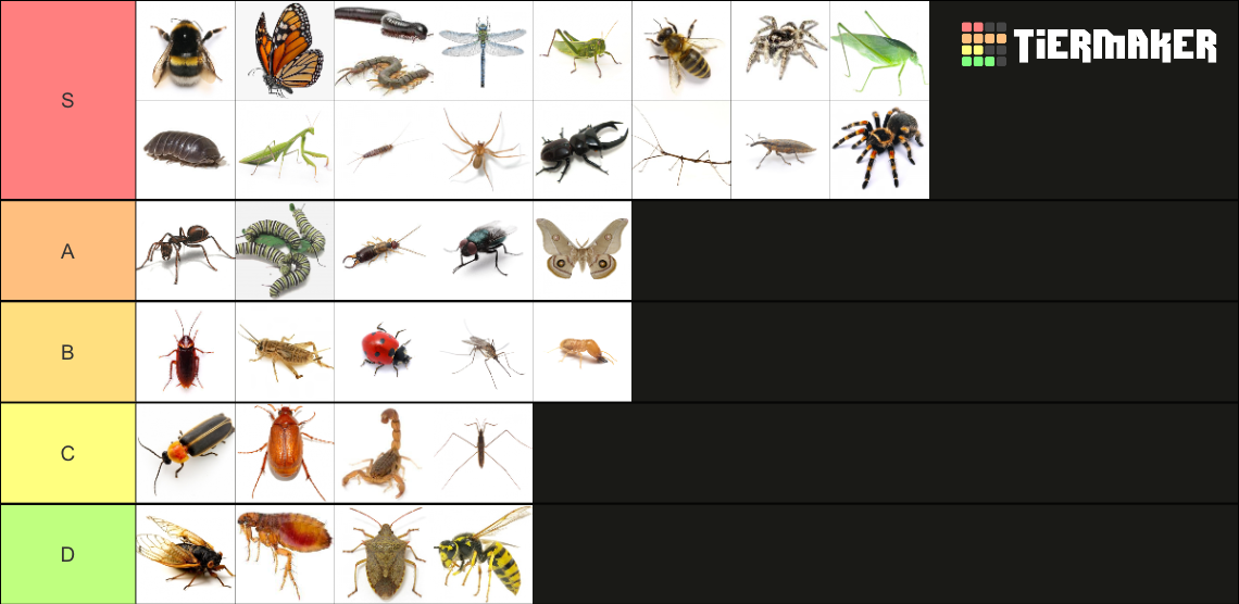 Official Bug Tier List (Community Rankings) - TierMaker