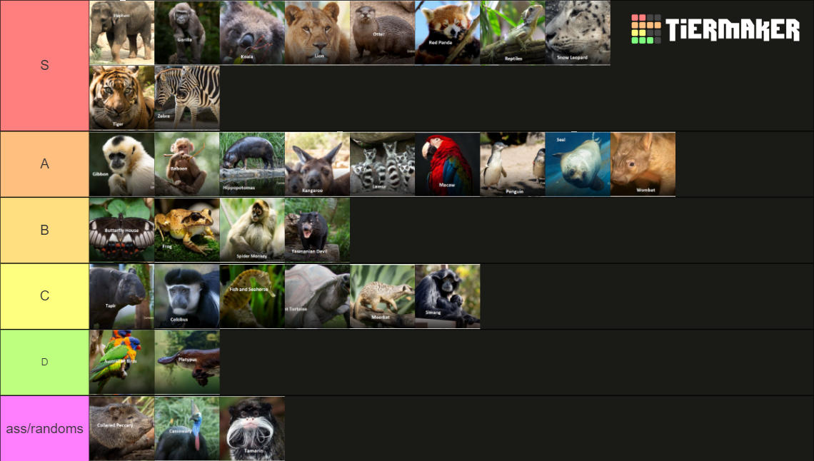 Zoo Animals Tier List (Community Rankings) - TierMaker