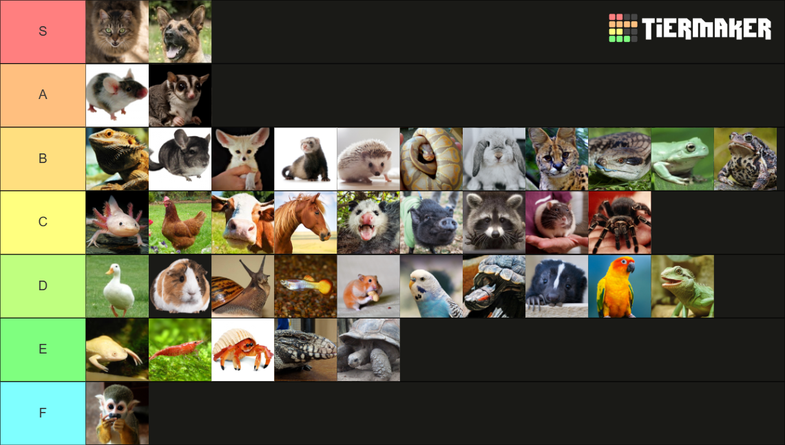 ULTIMATE PET TIER LIST Tier List (Community Rankings) - TierMaker