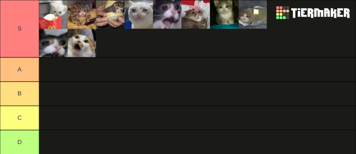 Sad Cats Tier List (Community Rankings) - TierMaker