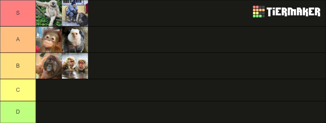Official Monkey List Tier List (Community Rankings) - TierMaker