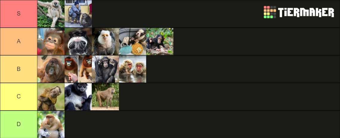 Official Monkey List Tier List (Community Rankings) - TierMaker