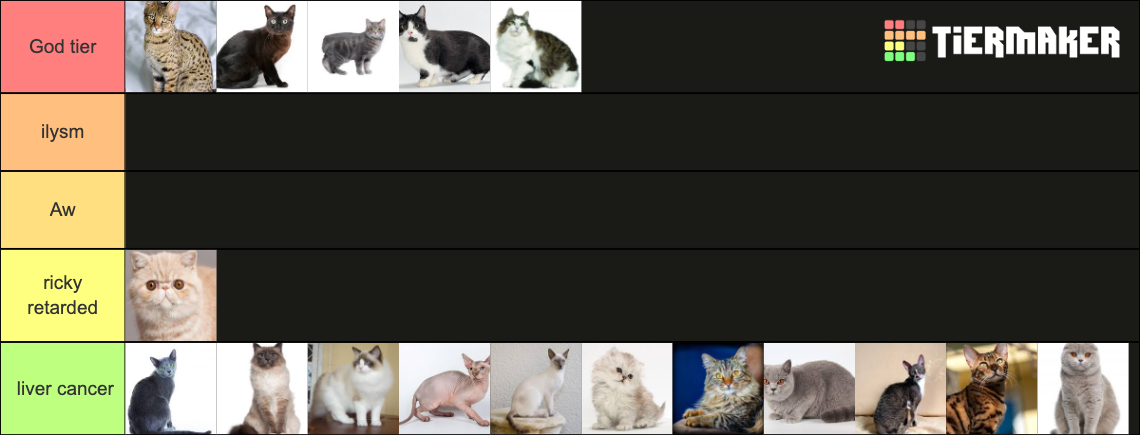 Cat breeds Tier List (Community Rankings) - TierMaker