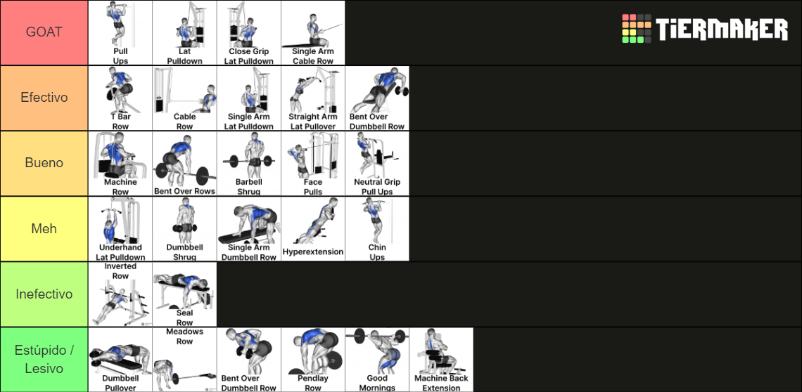 Best Back Exercises Tier List (Community Rankings) - TierMaker