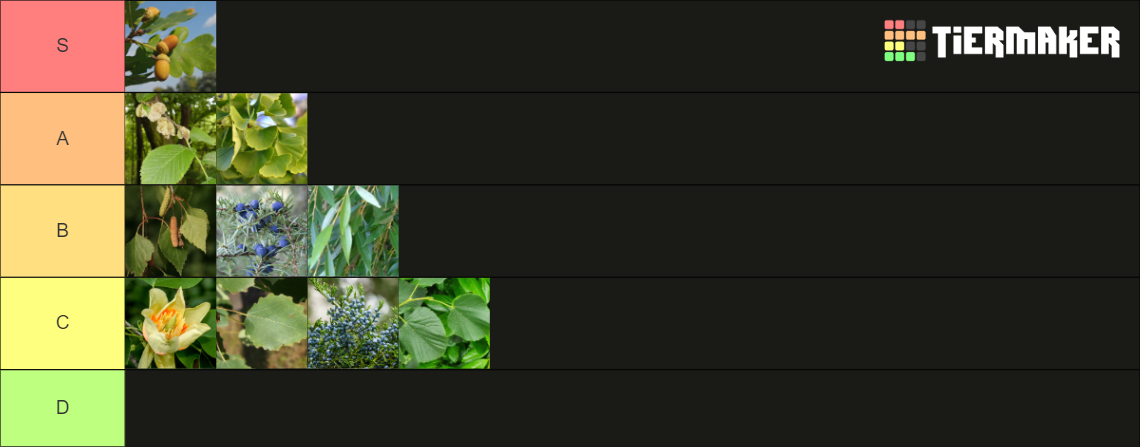 Tree Tier List (Community Rankings) - TierMaker