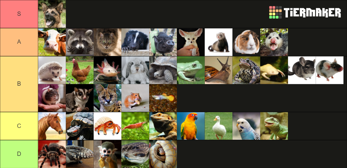 ULTIMATE PET TIER LIST Tier List (Community Rankings) - TierMaker