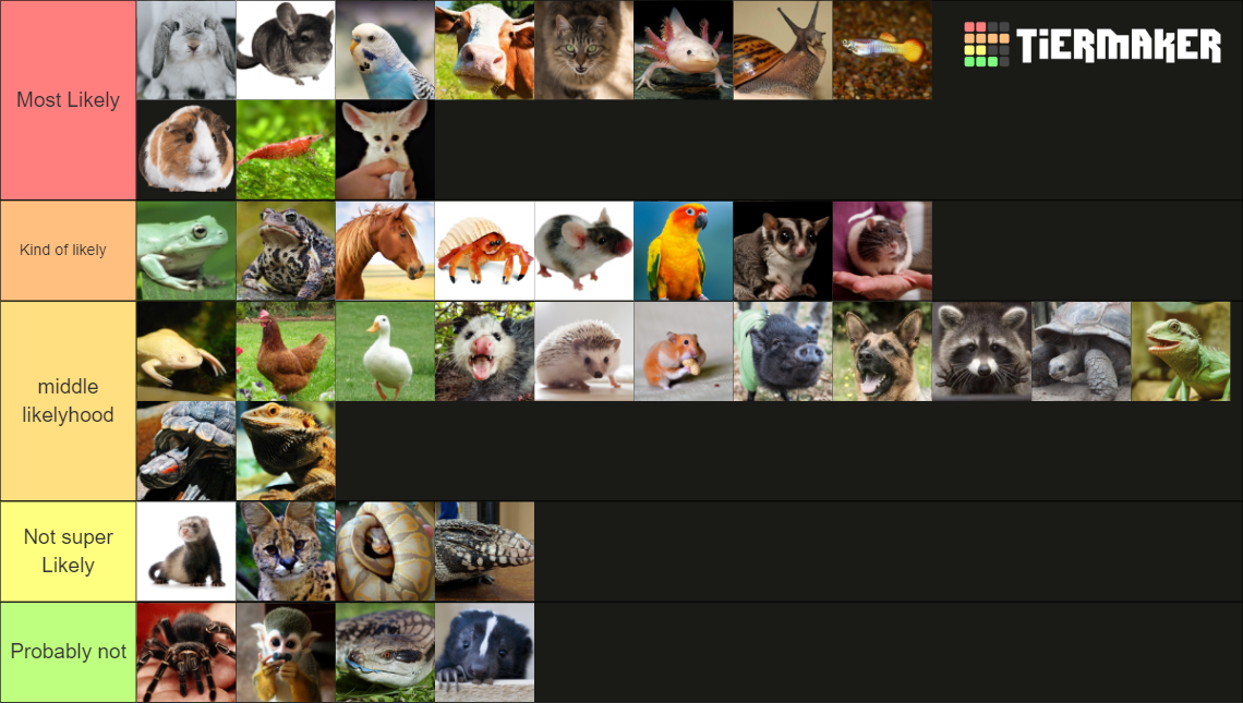 ULTIMATE PET TIER LIST Tier List (Community Rankings) - TierMaker