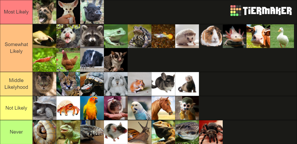 ULTIMATE PET TIER LIST Tier List (Community Rankings) - TierMaker