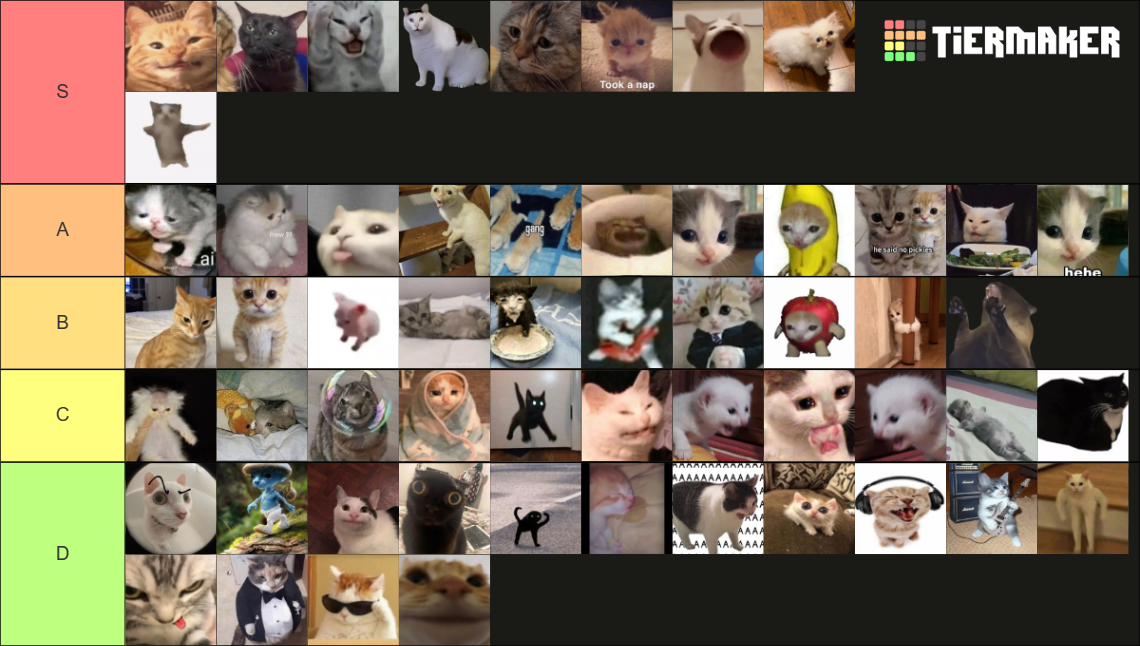 Famous cats Tier List (Community Rankings) - TierMaker