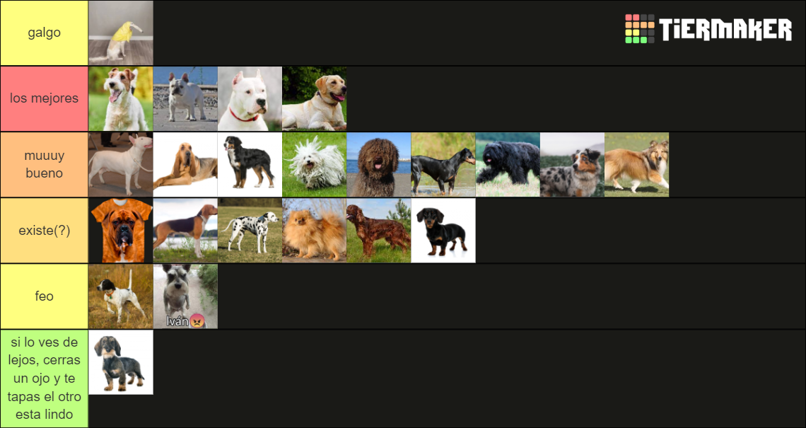 perros mas faheros Tier List (Community Rankings) - TierMaker