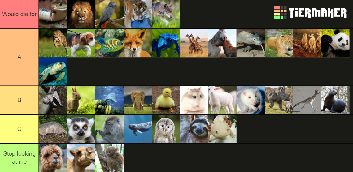 Animals Tier List (Community Rankings) - TierMaker