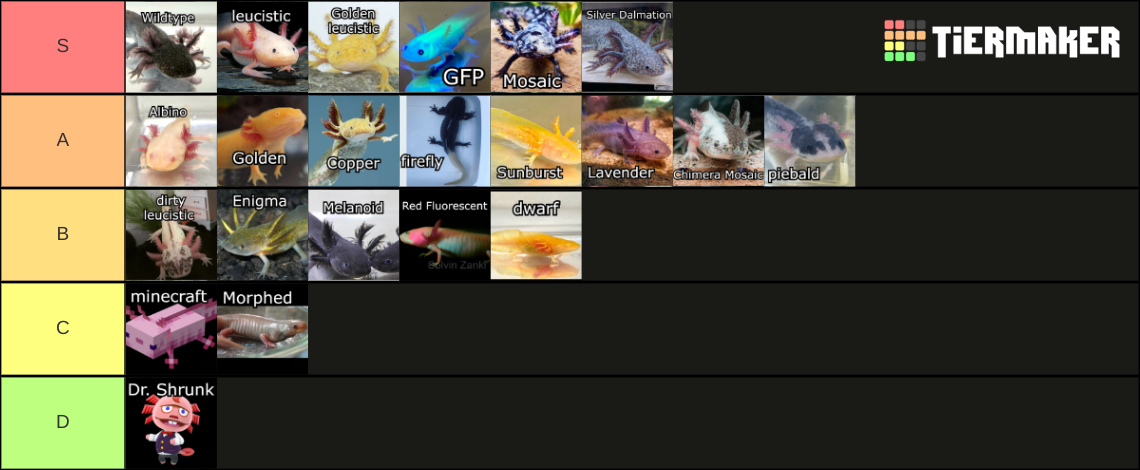 Axolotl types Tier List (Community Rankings) - TierMaker