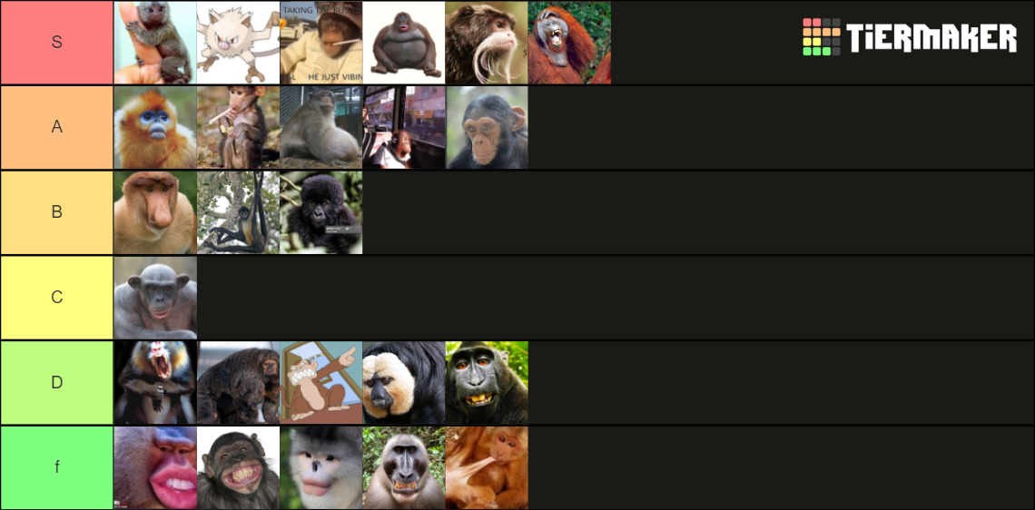 monkey Tier List (Community Rankings) - TierMaker
