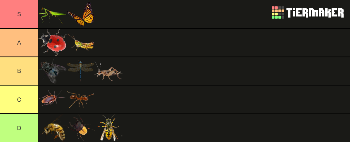 Insects Tier List (Community Rankings) - TierMaker