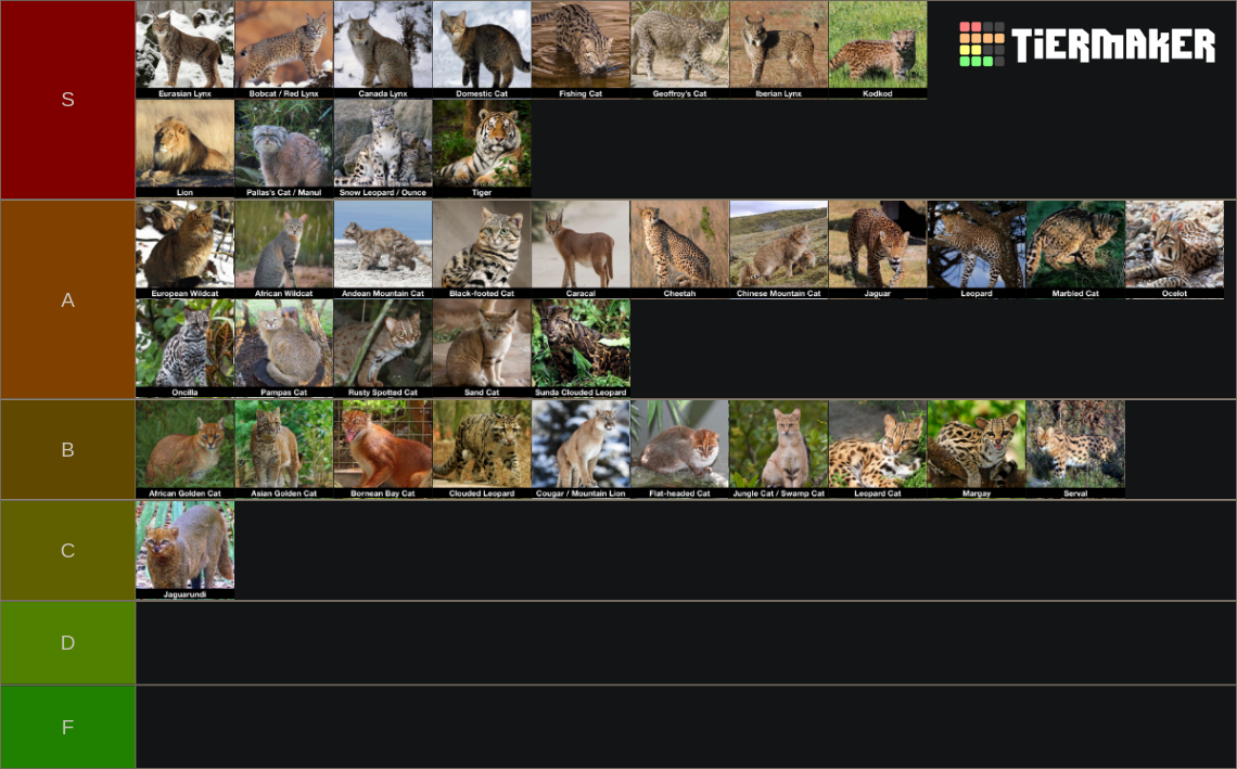Felidae Tier List (Community Rankings) - TierMaker