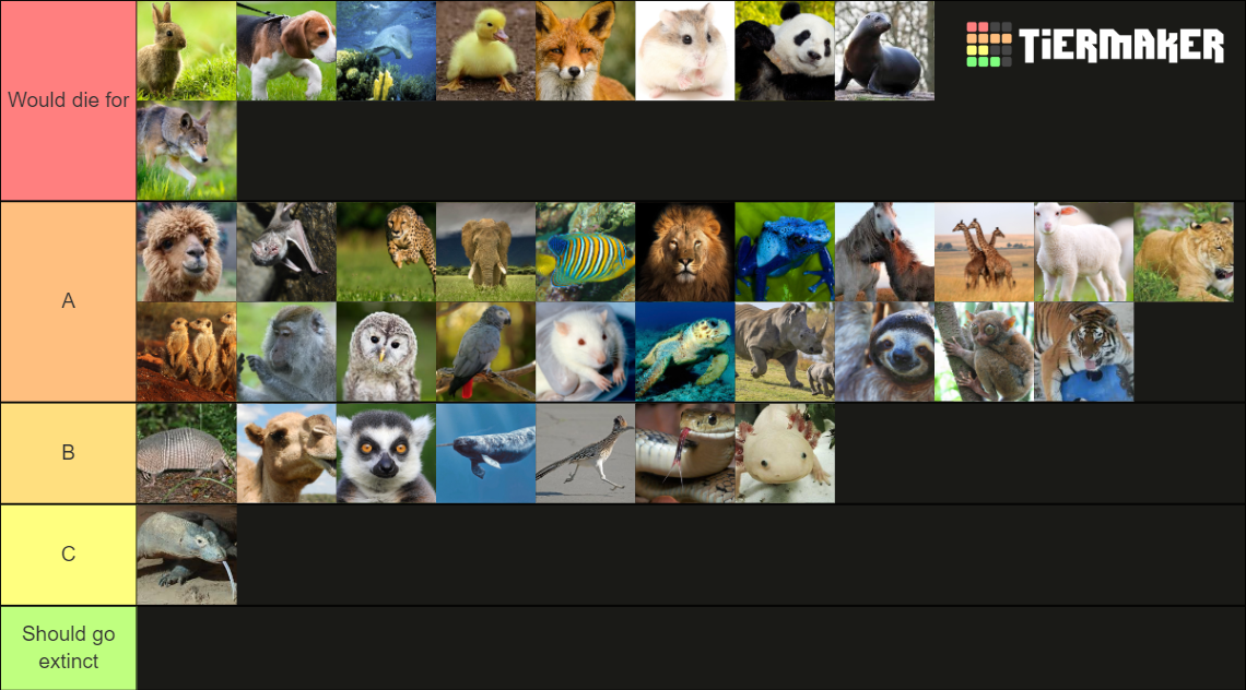 Animals Tier List (Community Rankings) - TierMaker