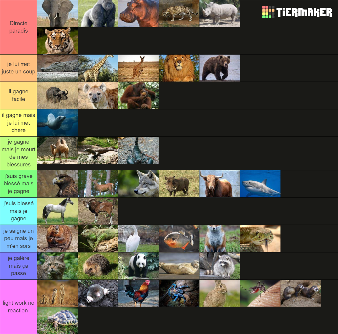 1v1 Animaux sauvage Tier List (Community Rankings) - TierMaker