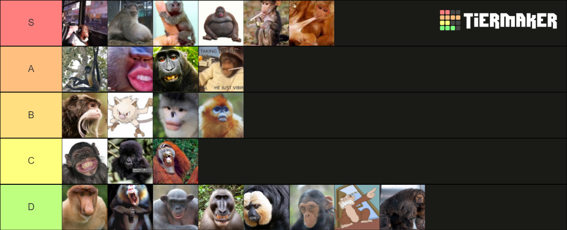 monkey Tier List (Community Rankings) - TierMaker