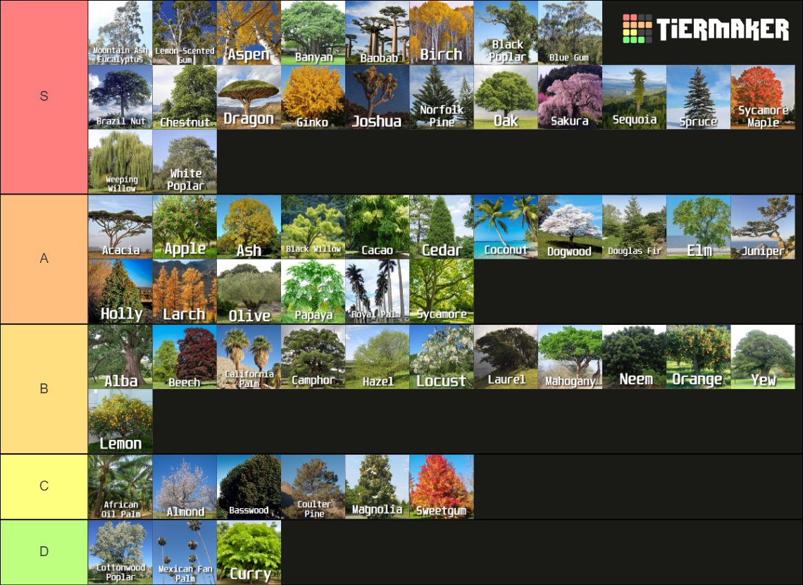 Best Trees Tier List (Community Rankings) - TierMaker