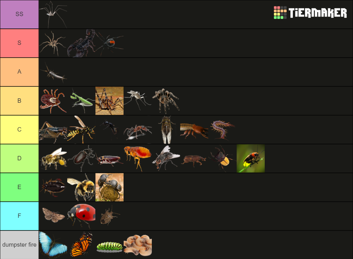 Insect/Arachnid Tierlist Tier List (Community Rankings) - TierMaker
