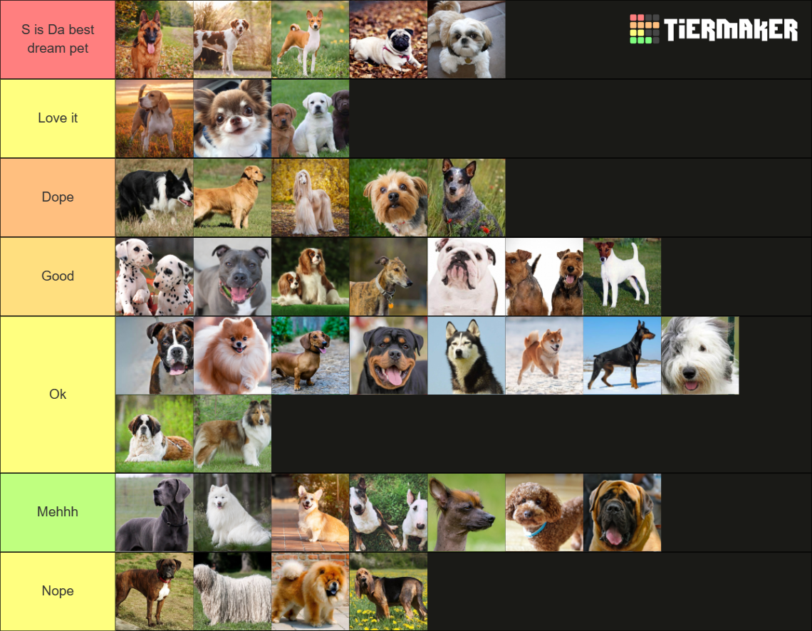 Dog breeds Tier List (Community Rankings) - TierMaker