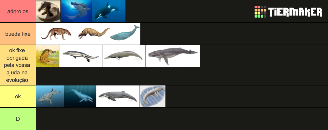 Whale/cetaceans evolution :) Tier List (Community Rankings) - TierMaker