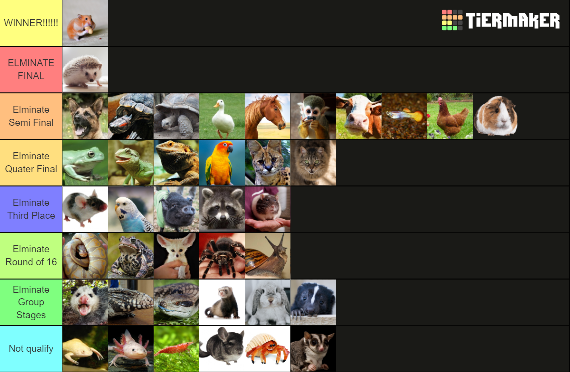 ULTIMATE PET TIER LIST Tier List (Community Rankings) - TierMaker