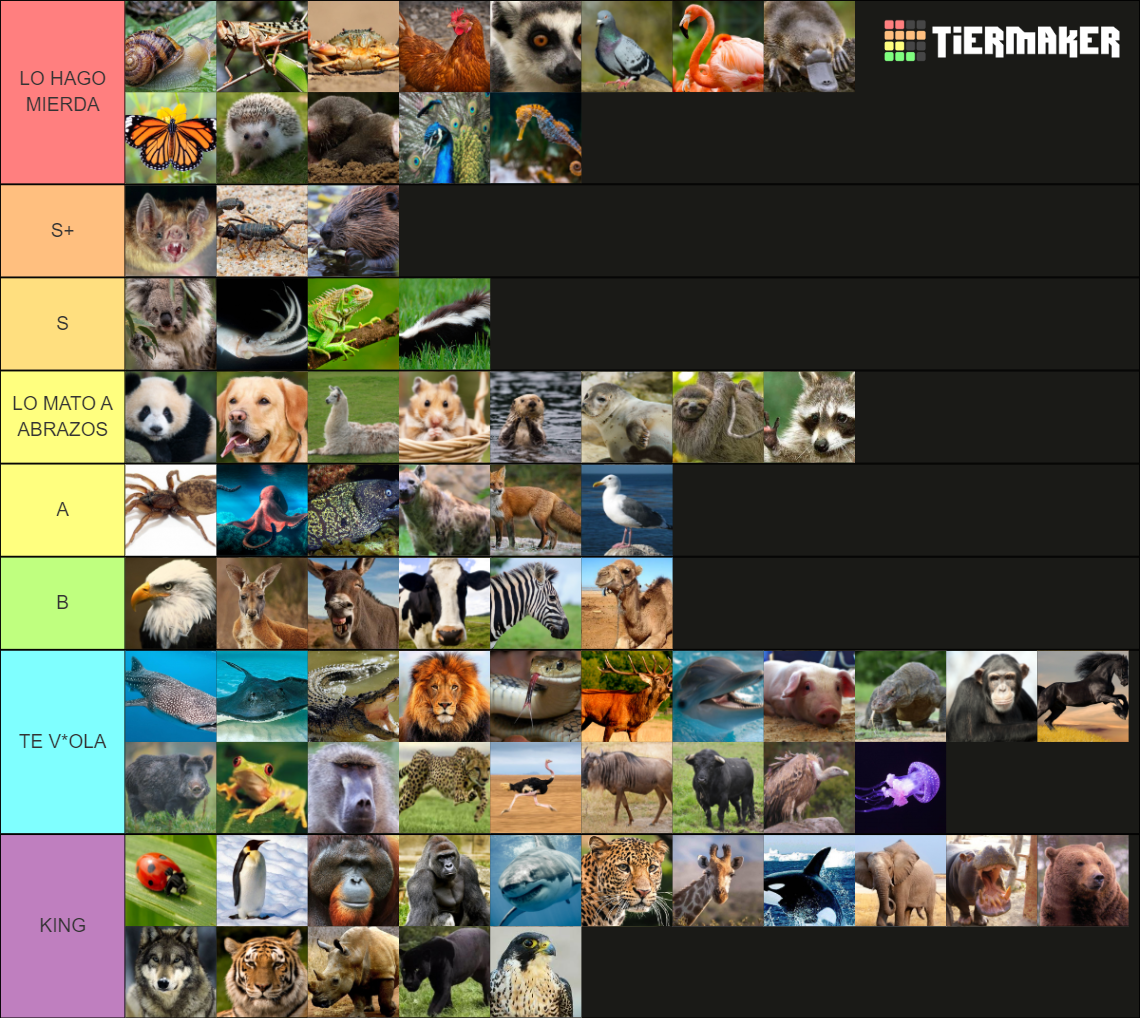 TIER LIST 100 ANIMALES SUPER DEFINITIVO Tier List (Community Rankings ...