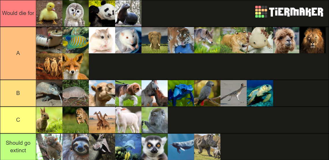 Animals Tier List (Community Rankings) - TierMaker