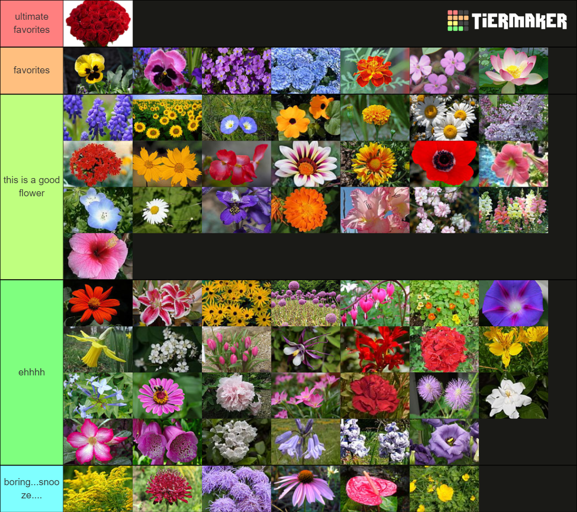 rating flowers Tier List (Community Rankings) - TierMaker