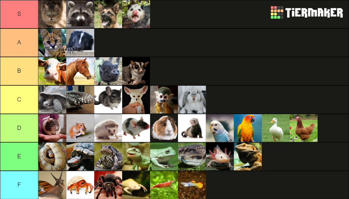 ULTIMATE PET TIER LIST Tier List (Community Rankings) - TierMaker