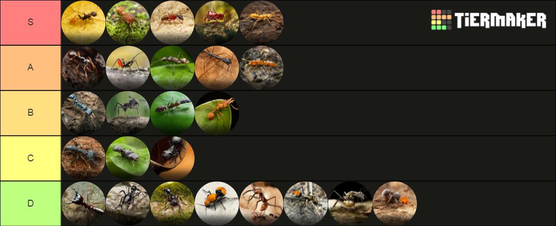 The Ants: Underground Kingdom - Orange Combat Special Ants Tier List ...