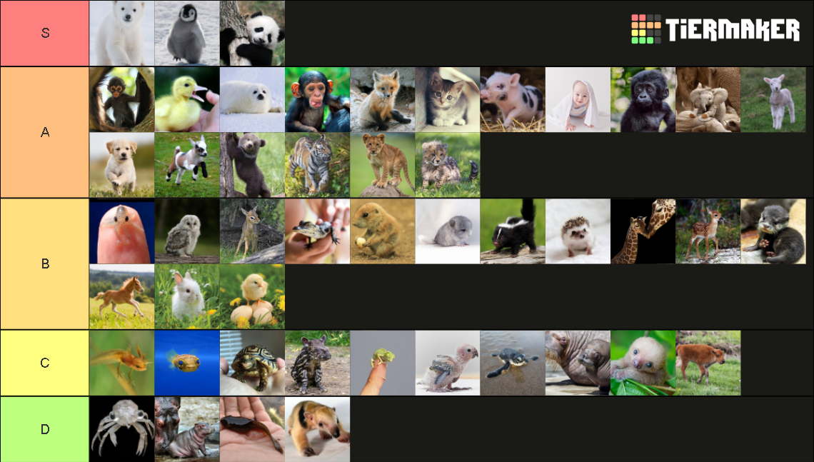 Cutest Baby Animals Tier List (Community Rankings) - TierMaker