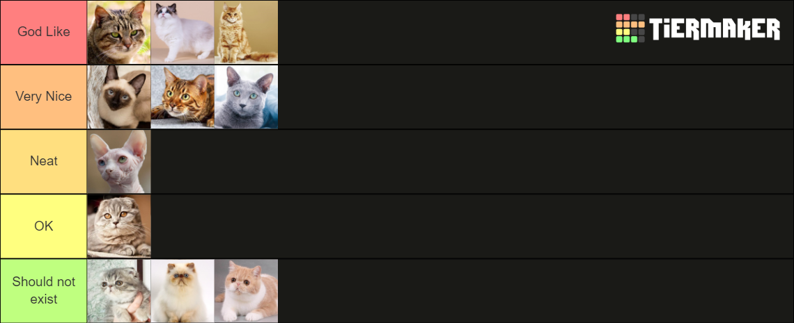 Cat breeds Tier List (Community Rankings) - TierMaker