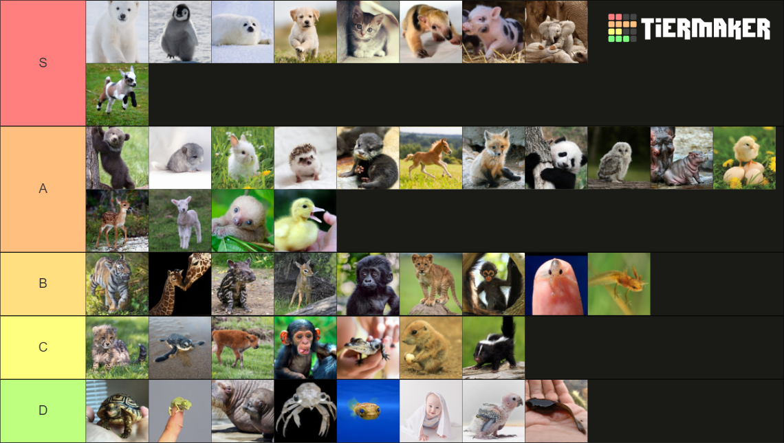 Cutest Baby Animals Tier List (Community Rankings) - TierMaker