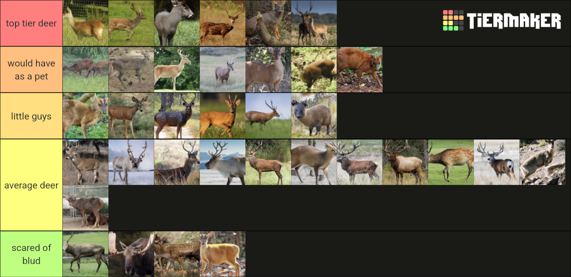 types of deer RANKED Tier List (Community Rankings) - TierMaker