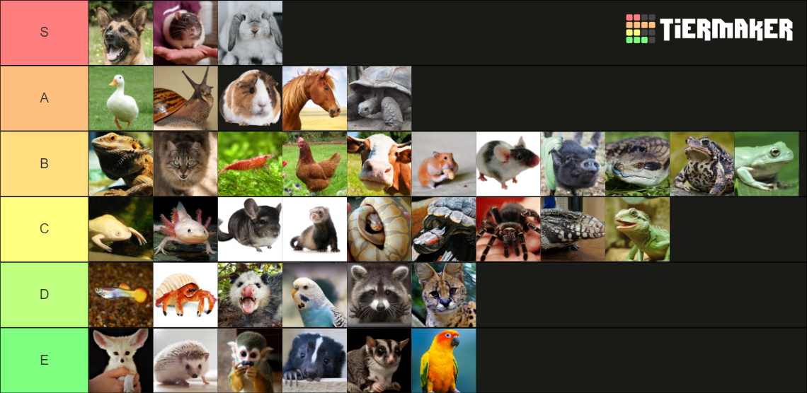 ULTIMATE PET TIER LIST Tier List (Community Rankings) - TierMaker