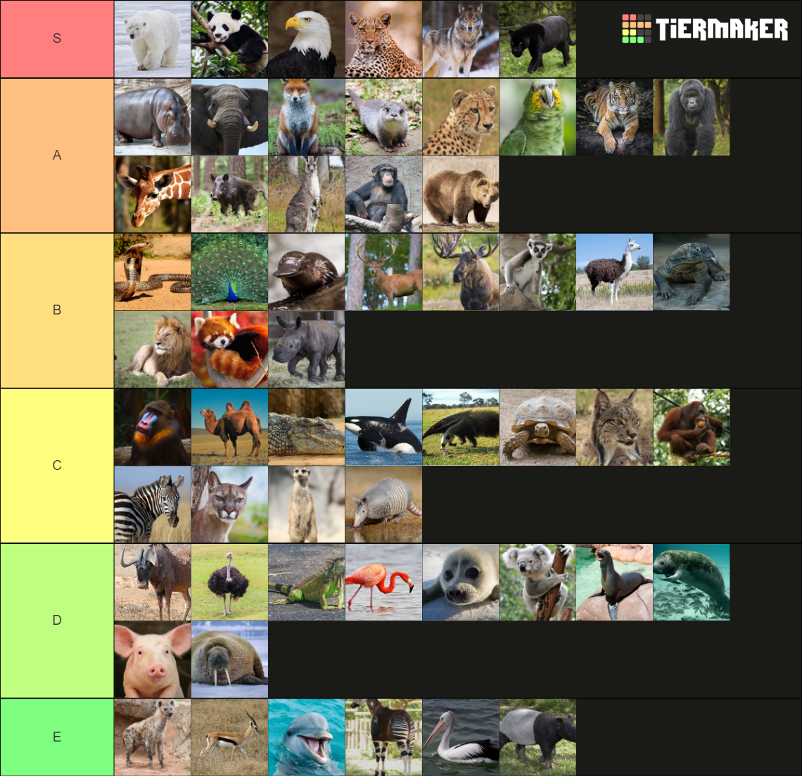 Zoo Animals Tier List (Community Rankings) - TierMaker