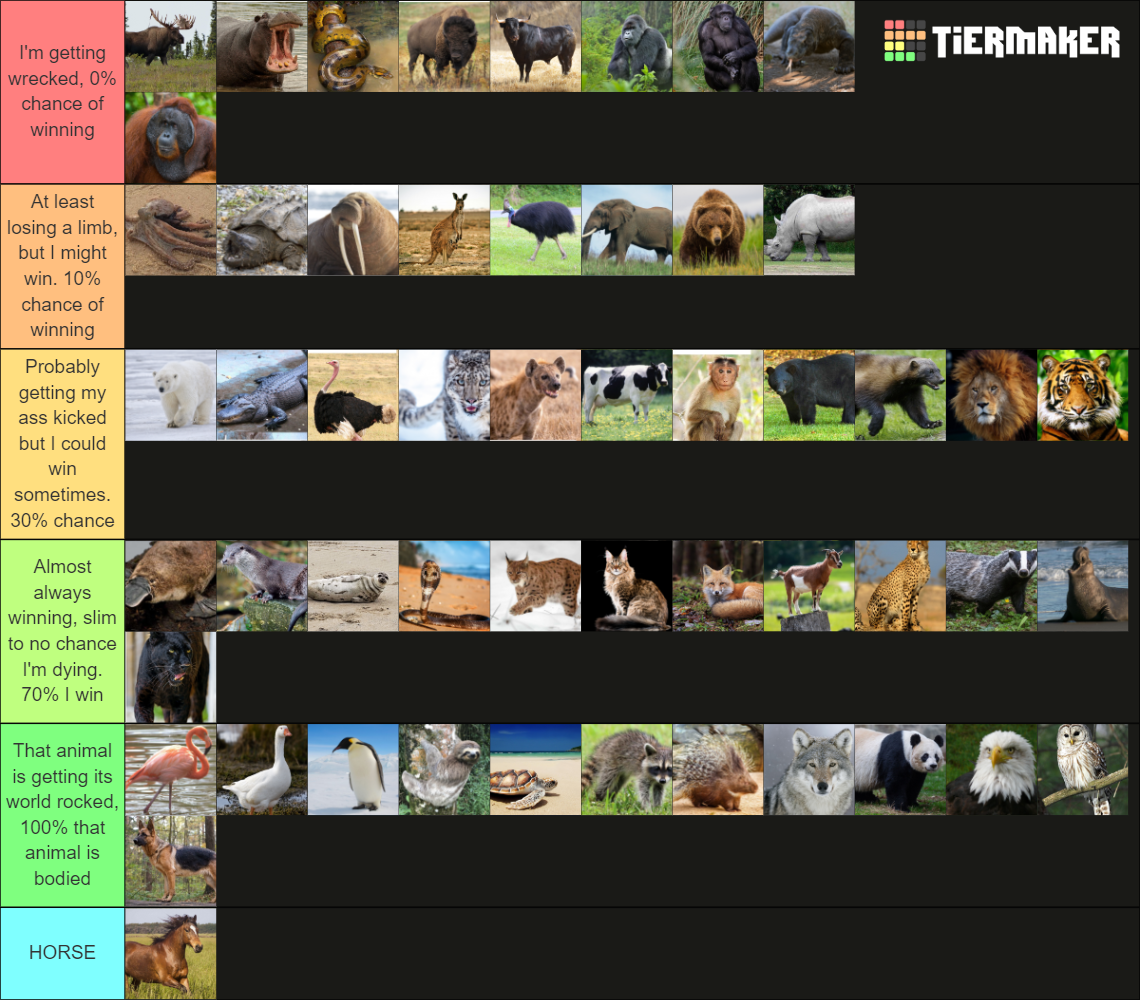 Animals I could fight Tier List (Community Rankings) - TierMaker