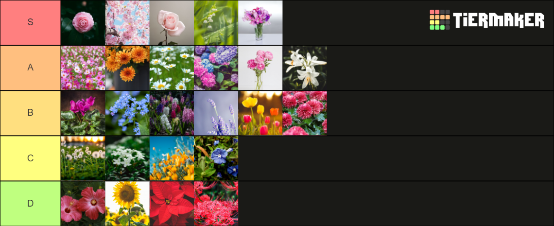 (Popular) Flowers Tier List (Community Rankings) - TierMaker