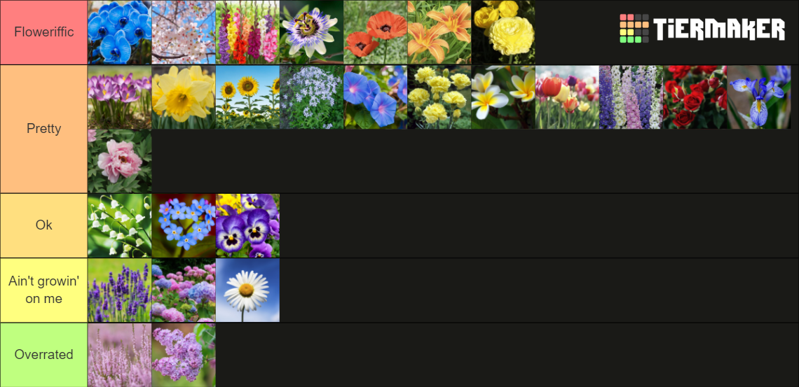 Types of Flowers Tier List (Community Rankings) - TierMaker