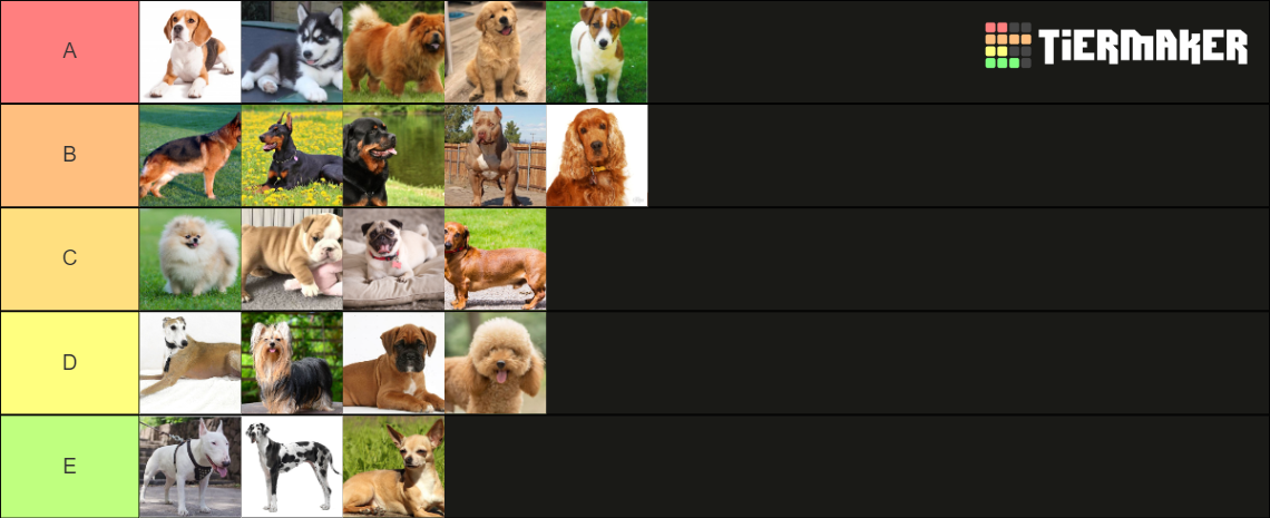 Dog Breeds Tier List (Community Rankings) - TierMaker