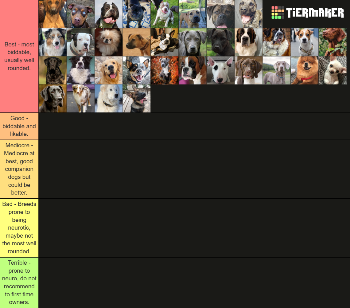 Dog breeds ranked Tier List (Community Rankings) - TierMaker