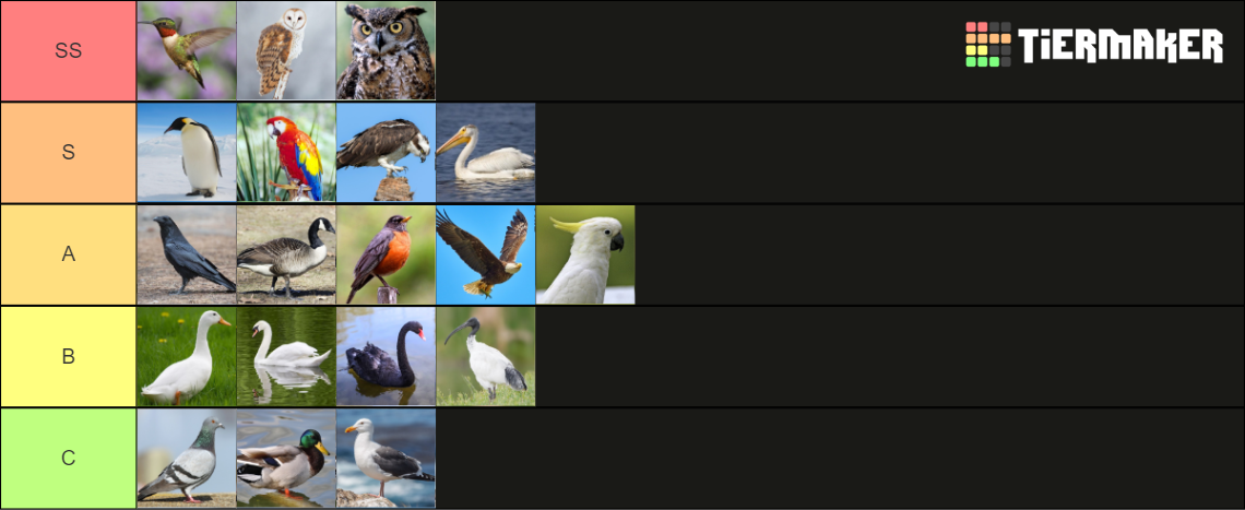 Birds Tier List (Community Rankings) - TierMaker