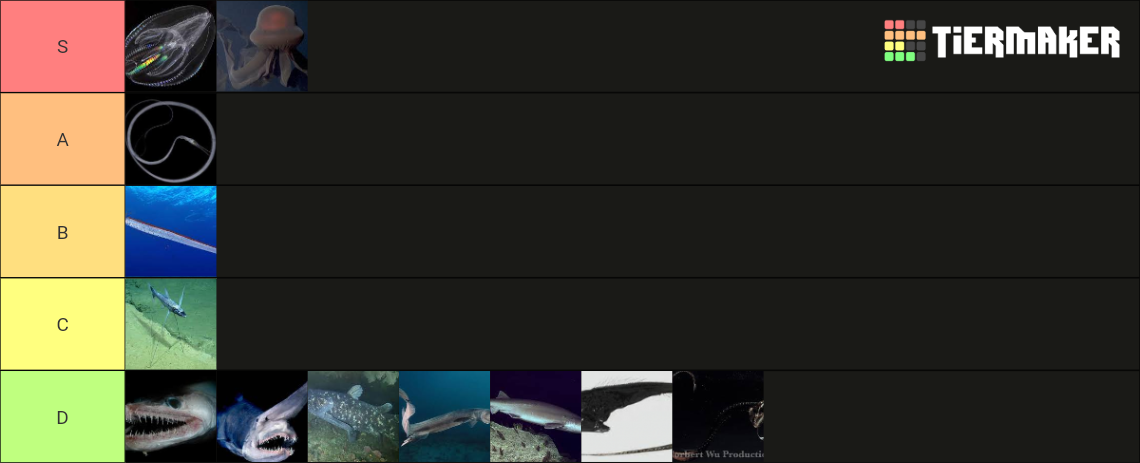 deep sea animal Tier List (Community Rankings) - TierMaker