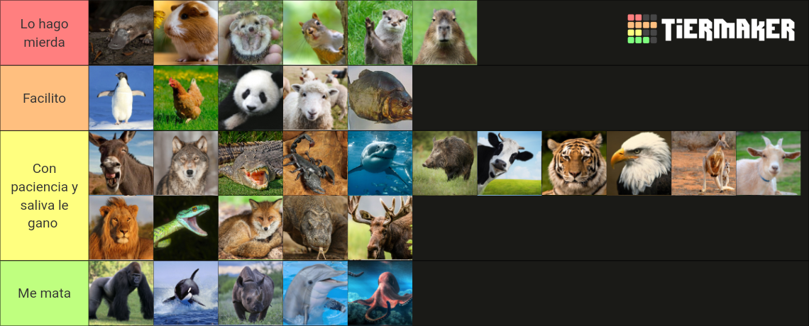 A QUE ANIMAL LE GANARIA EN UNA PELEA Tier List (Community Rankings ... A QUE ANIMAL LE GANARIA EN UNA PELEA Tier List (Community Rankings ...
