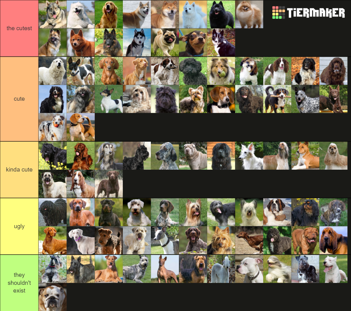 Dog Breeds Tier List (Community Rankings) - TierMaker