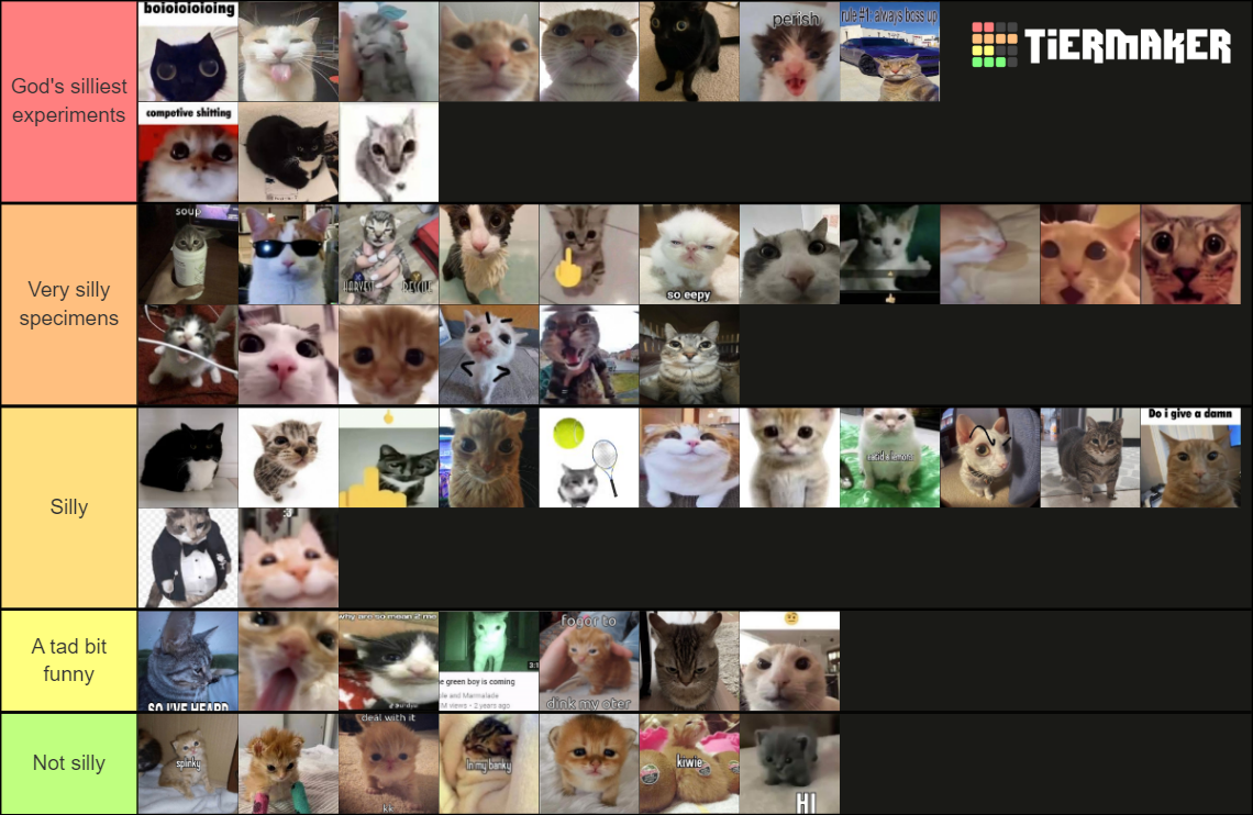 silly cats Tier List (Community Rankings) - TierMaker