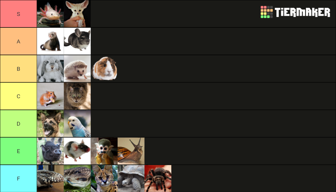 ULTIMATE PET TIER LIST Tier List (Community Rankings) - TierMaker